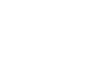 Elitedrive Smart Throttle Pedal Controller - Elite Drive