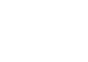 Elitedrive Smart Throttle Pedal Controller - Elite Drive