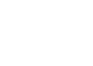 Elitedrive Smart Throttle Pedal Controller - Elite Drive